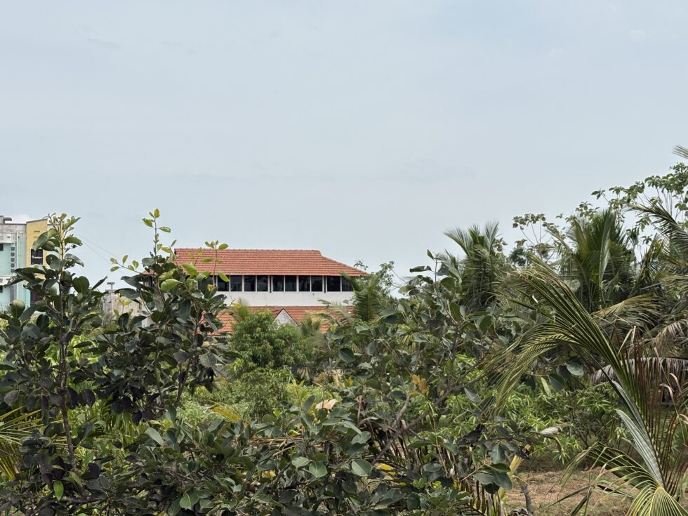 Gallery | Moon Light Farm